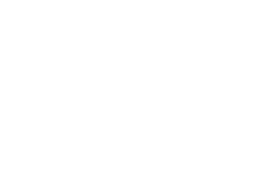 Packaging and paper bags - Fiorini International