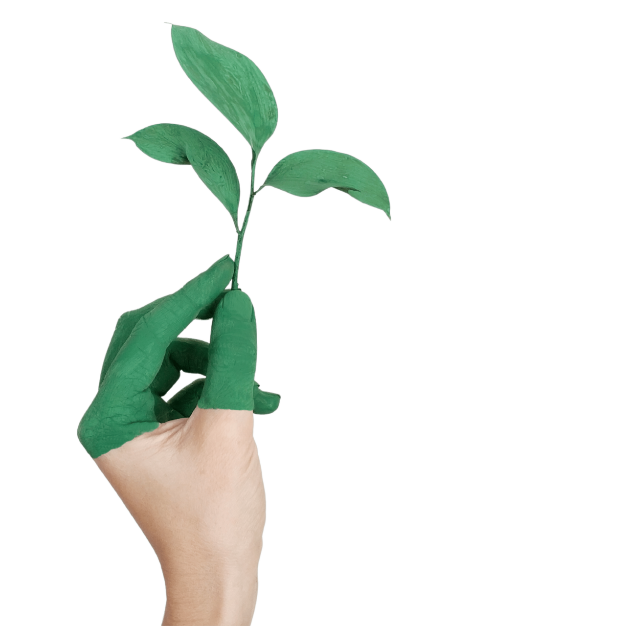 Food packaging - Fiorini International