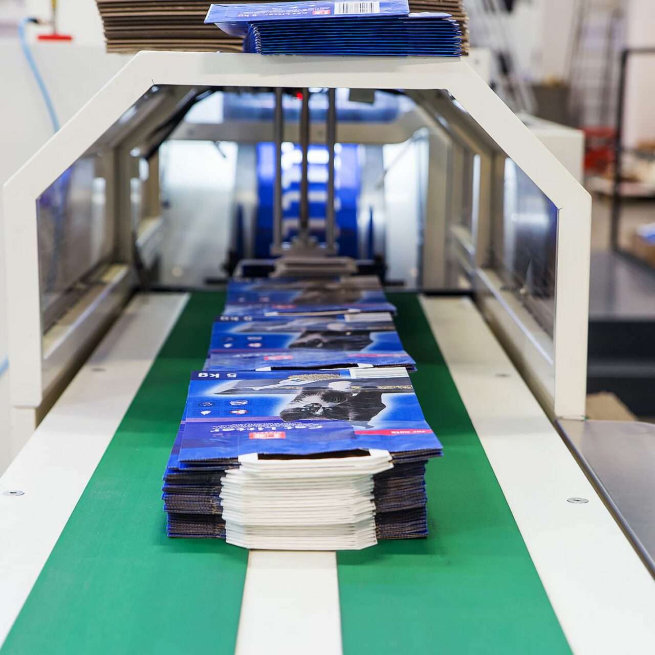 Pet food packaging - Fiorini International